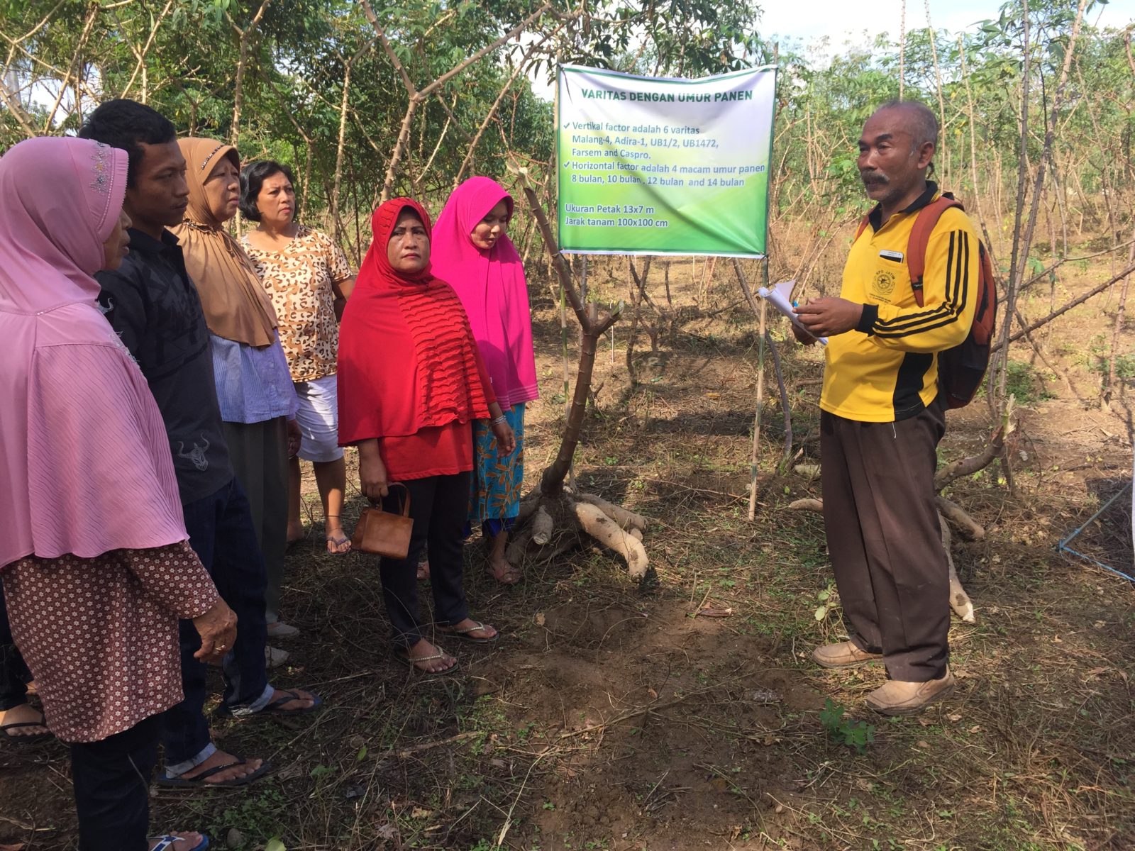 Indonesian – ACIAR Cassava Value Chain and Livelihood Program