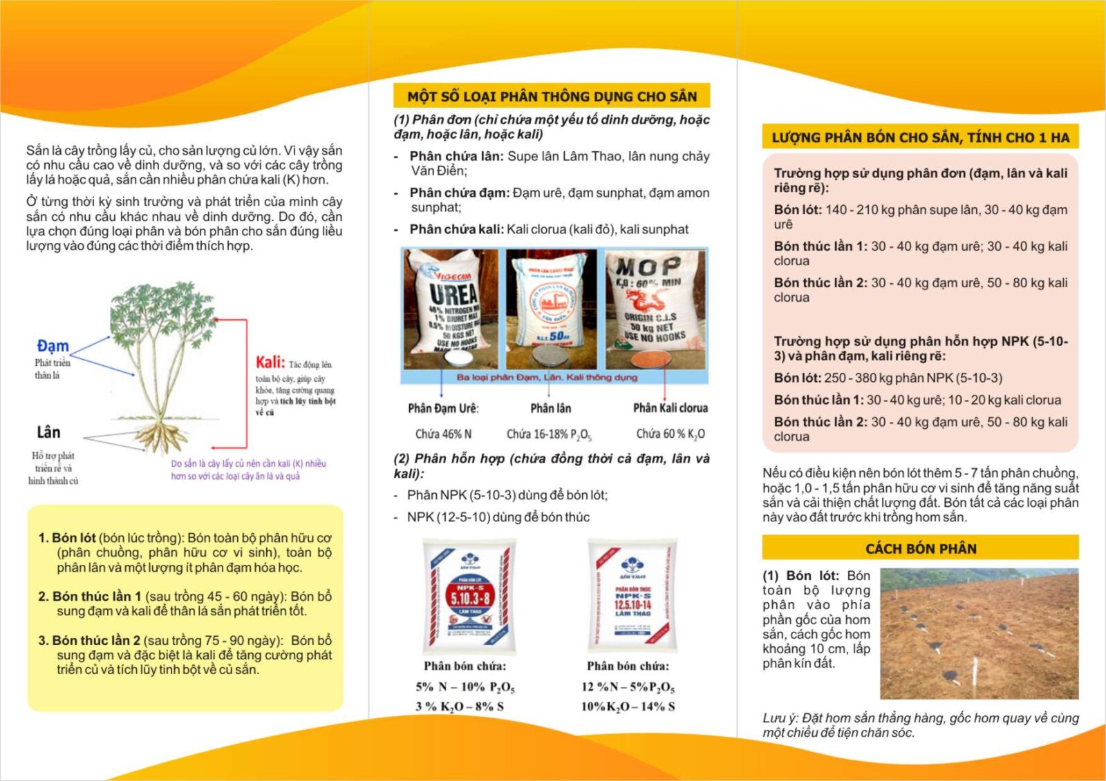 Vietnamese – ACIAR Cassava Value Chain and Livelihood Program