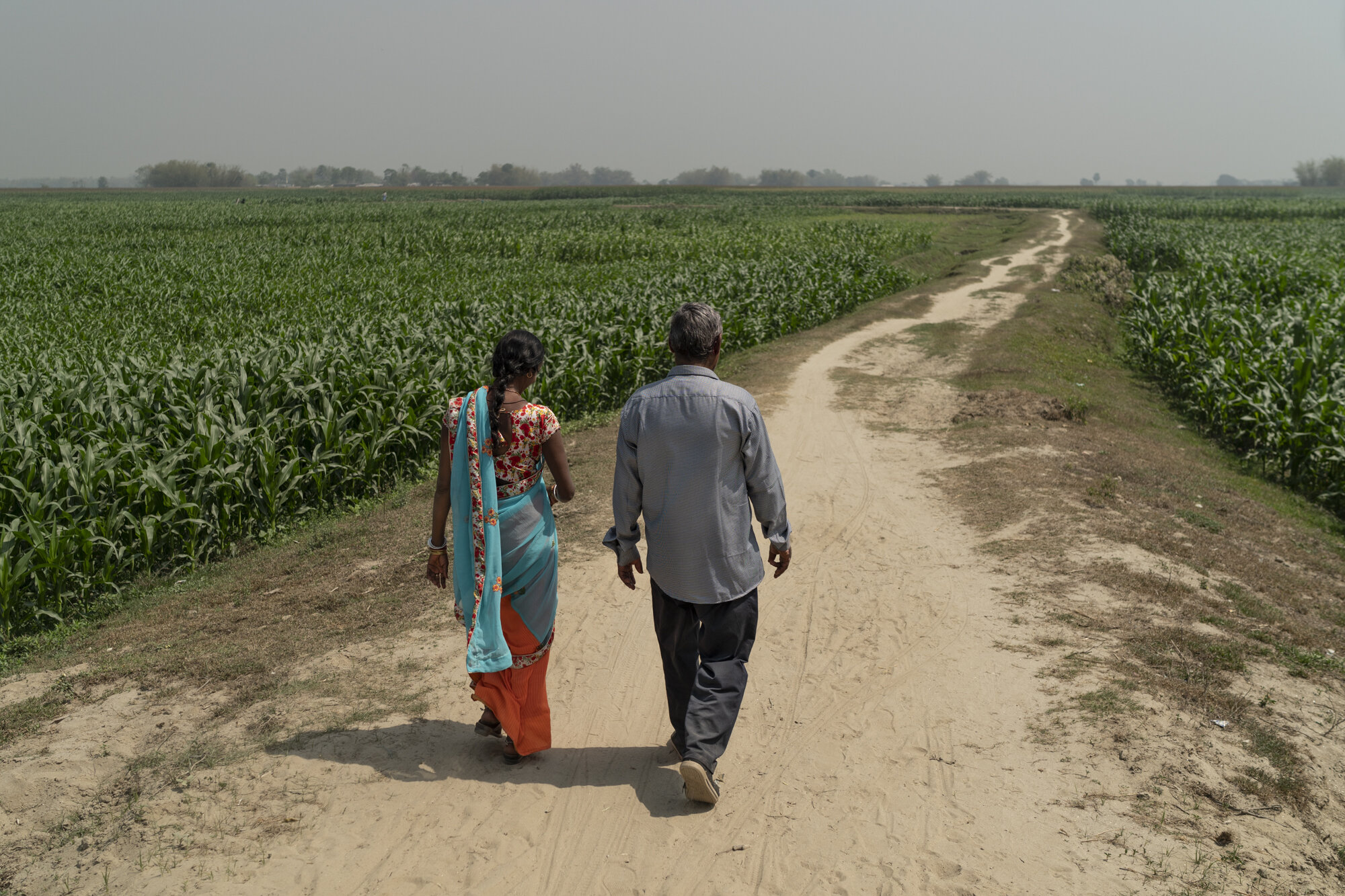 1 – ACIAR SDIP Program Overview – ACIAR SDIP