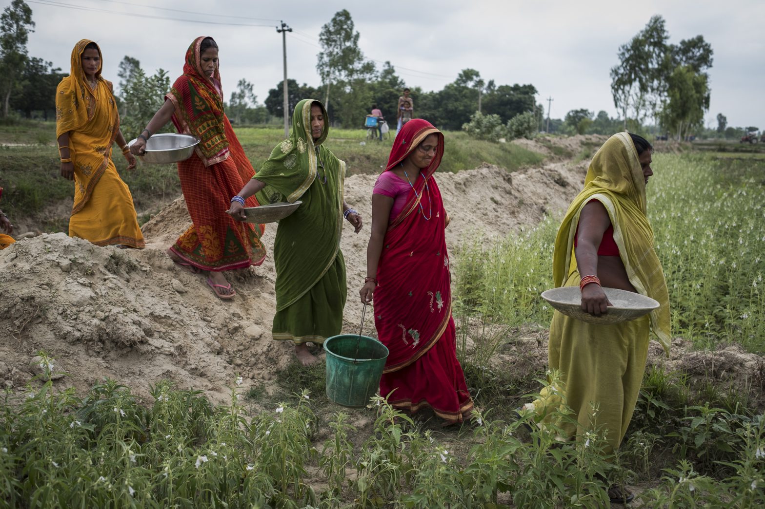 Sustainably supporting farmers in the Terai Region of Nepal – ACIAR SDIP