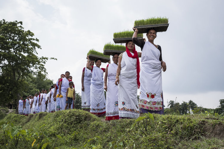 Sustainably supporting farmers in the Terai Region of Nepal – ACIAR SDIP