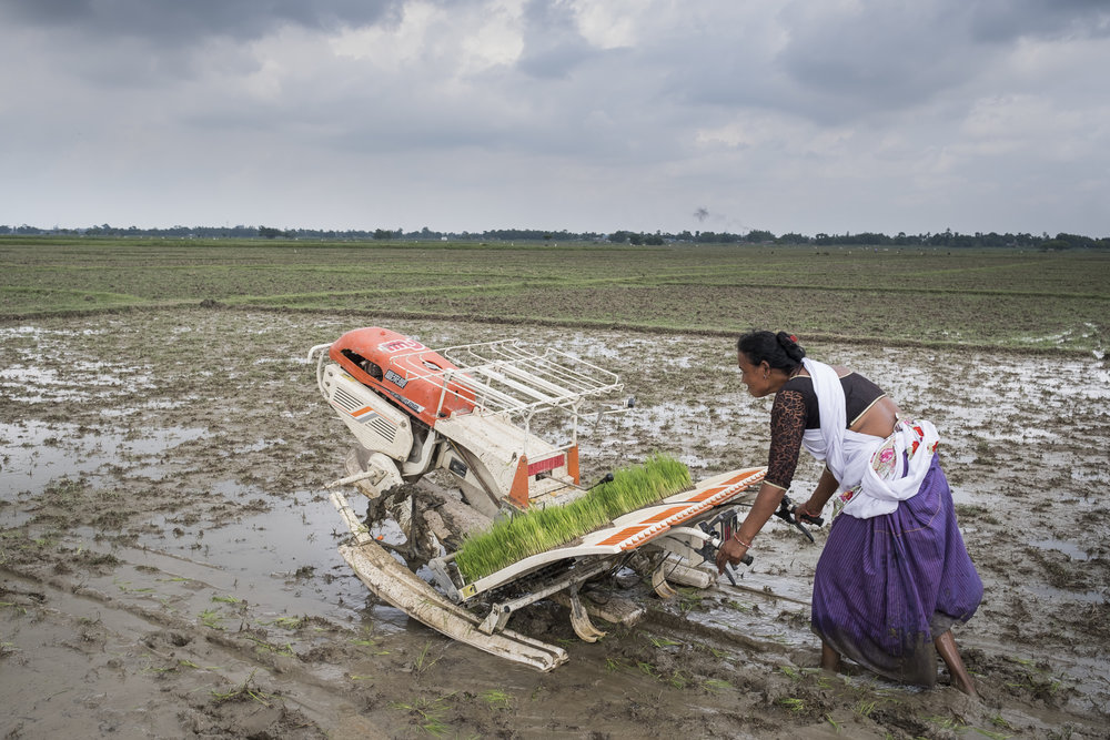 Sustainably supporting farmers in the Terai Region of Nepal – ACIAR SDIP