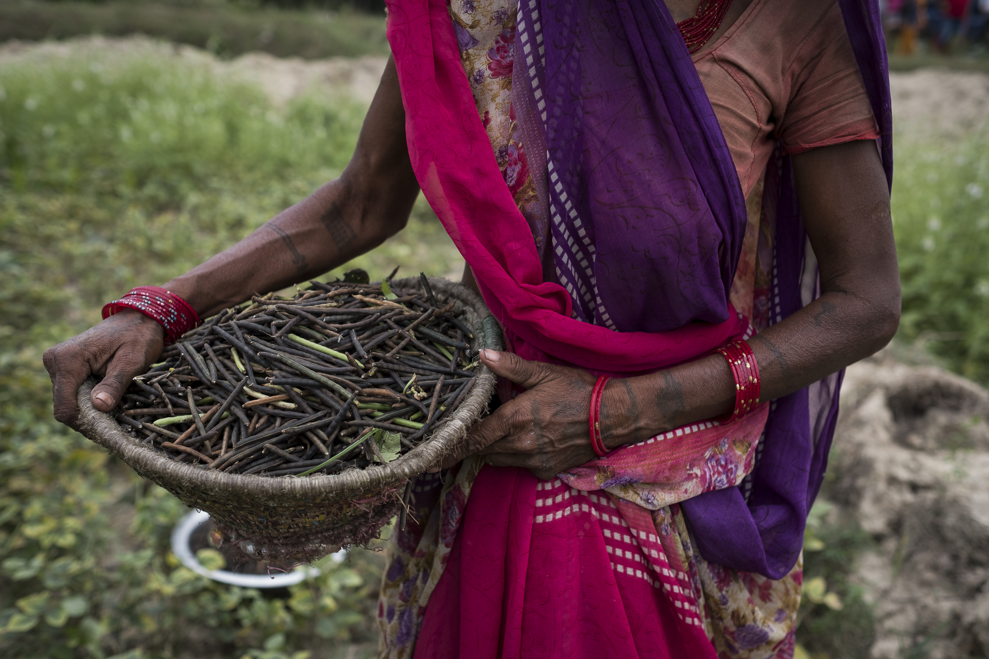 Sustainably supporting farmers in the Terai Region of Nepal – ACIAR SDIP