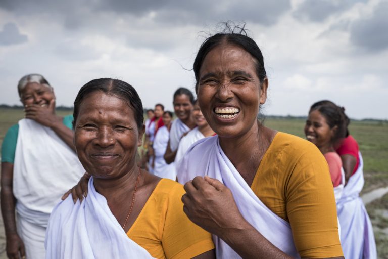 About SDIP – ACIAR SDIP