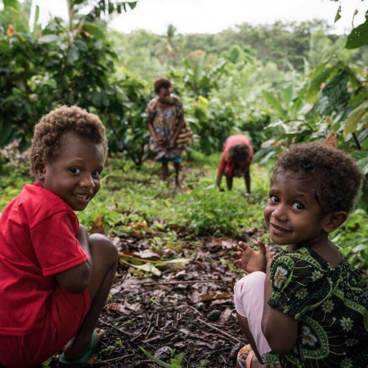 Galip Nut | Expanding Markets & Processing of Canarium Nuts | TADEP