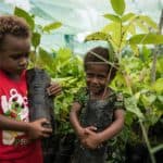 Galip Nut | Expanding Markets & Processing of Canarium Nuts | TADEP