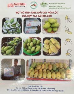 ACIAR Southern Vietnam Mango Supply Chain Project – Dong Thap, Tien ...